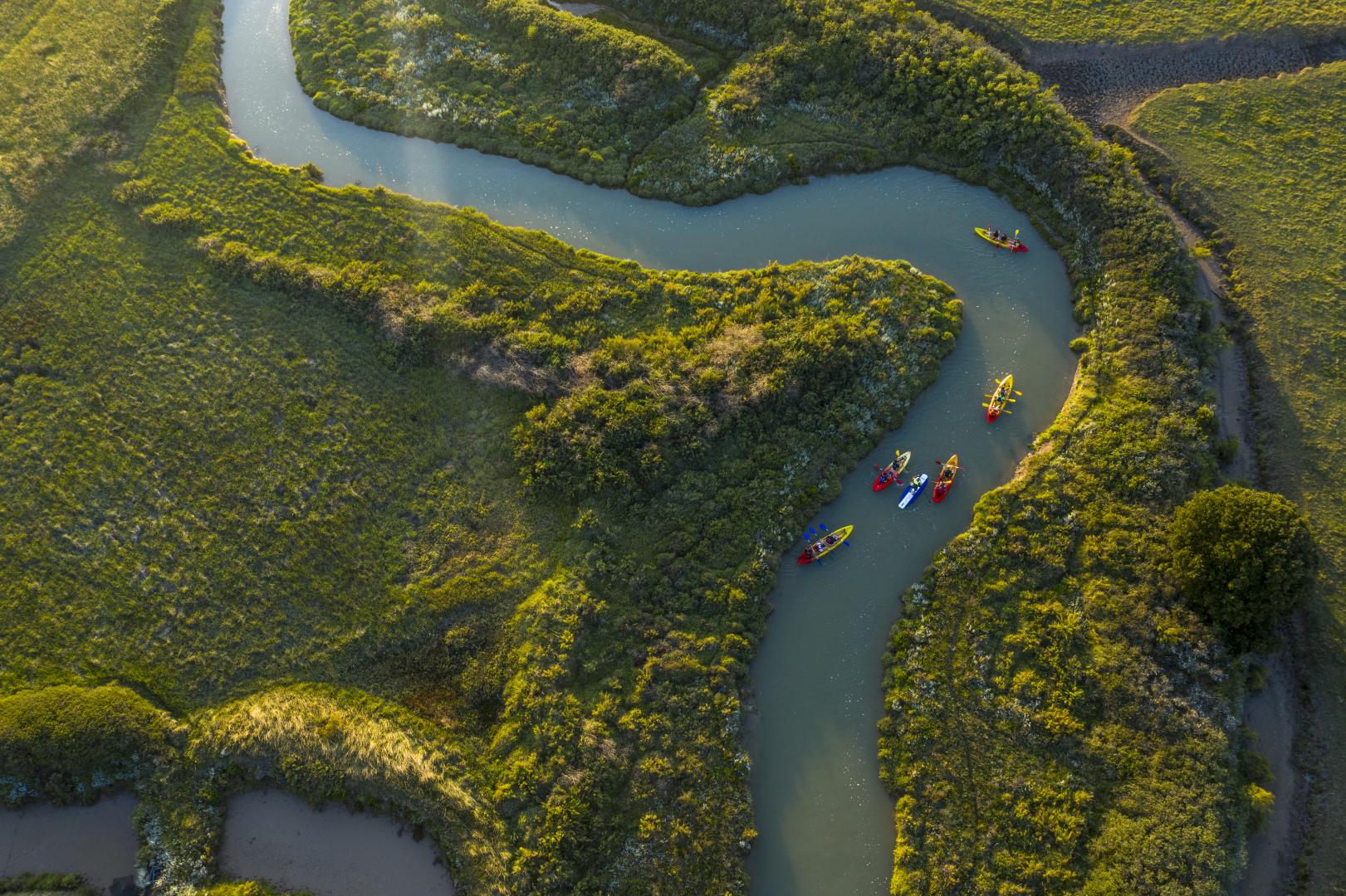 Explore the marshes with your family - an unforgettable adventure!