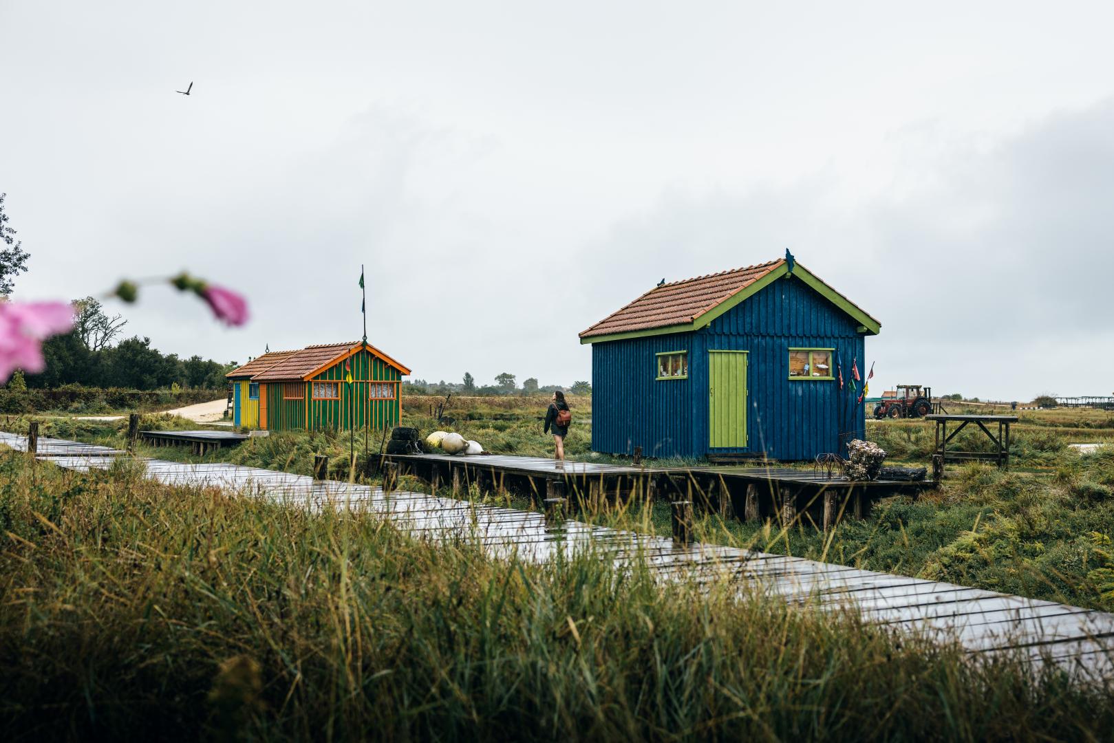 5 good reasons to love Marennes - Oléron in autumn (or off-season)