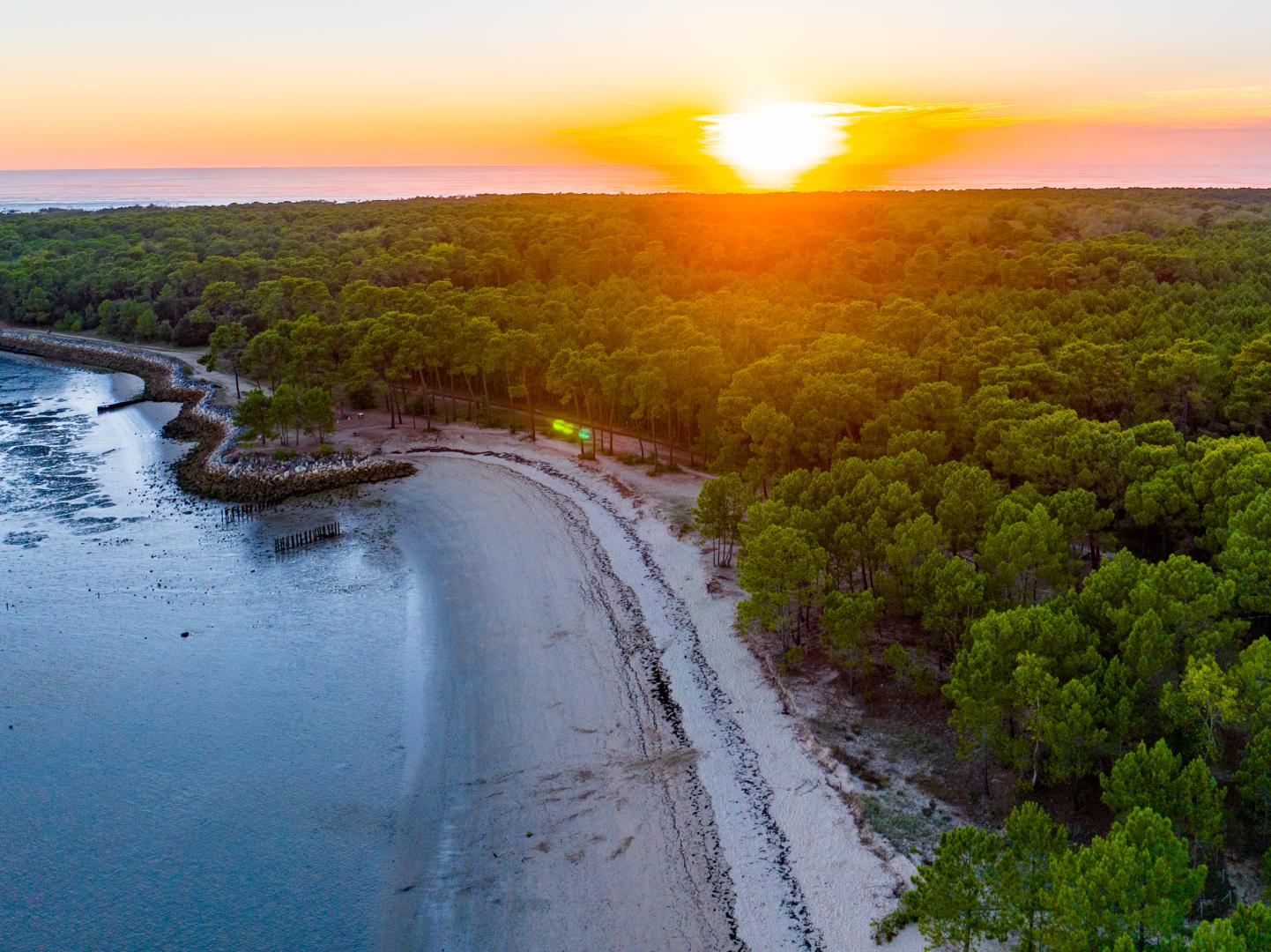 Approved and adapted beaches