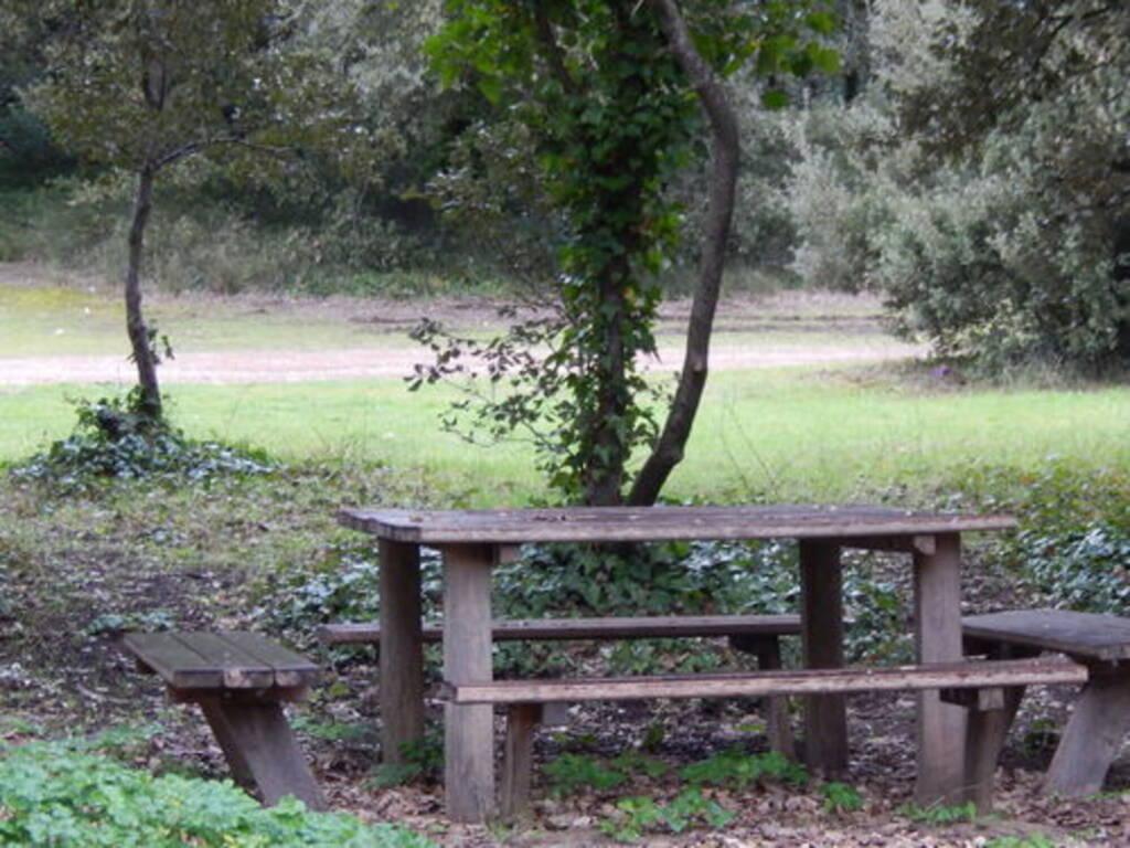 Aire de pique nique Plage des Sables Vignier - Picnic areas